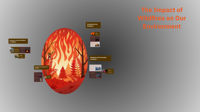The Impact of Wildfires on Our Environment by Quinn Montgomery on Prezi