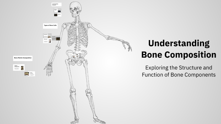 Understanding Bone Composition by Tyler Gardner on Prezi