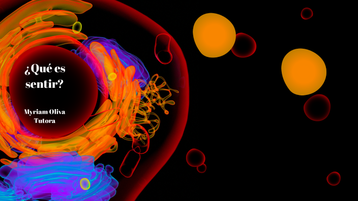 ¿Qué es sentir? by Myriam OLIVA on Prezi