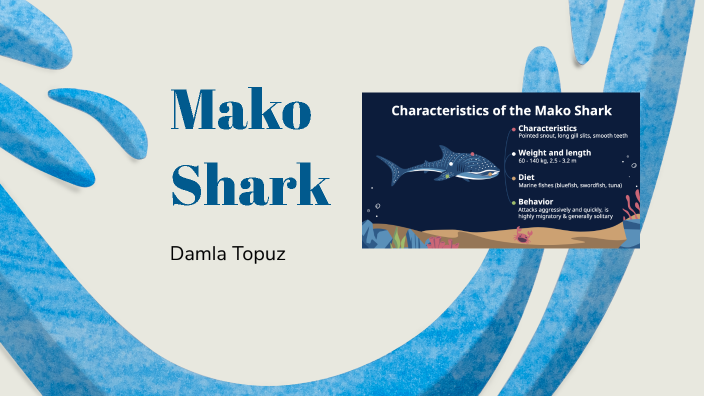 Mako Shark evolution by Damla Topuz on Prezi