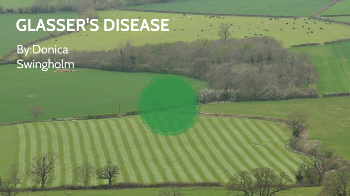 Glasser's Disease by Donica Swingholm on Prezi