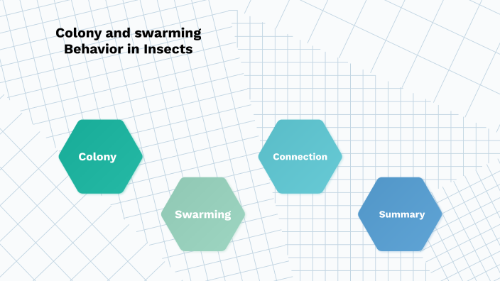 Colony and swarming behavior in insects by Sofia Ortiz on Prezi