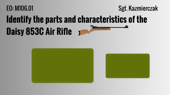 EO M106.01 - Identify the parts and characteristics of the daisy 853C ...
