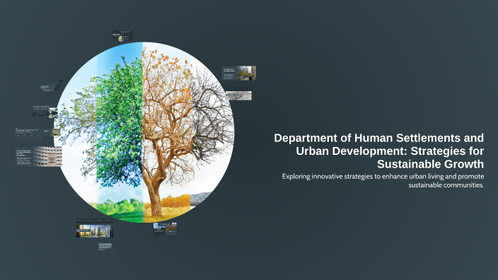 Department of Human Settlements and Urban Development: Strategies for ...