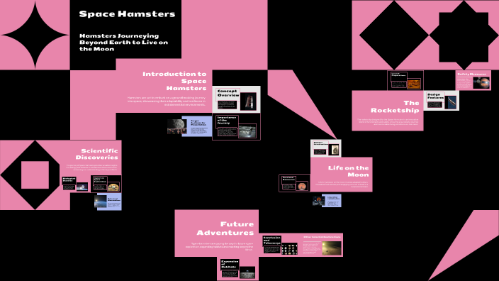 Space Hamsters by Ariel Patterson on Prezi