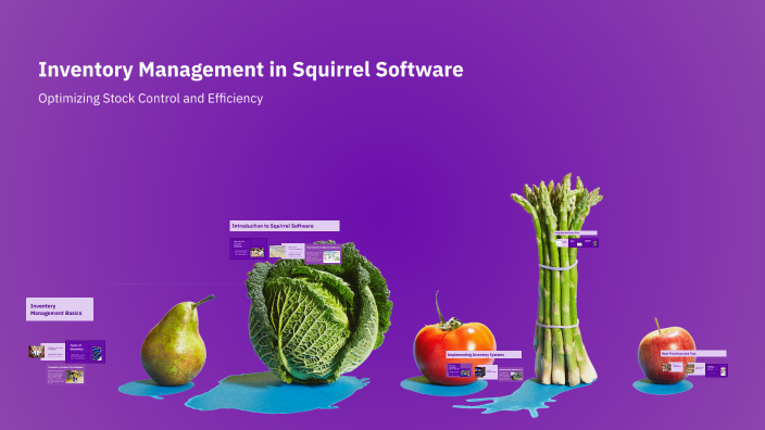 Inventory Management in Squirrel Software by Benmoussa Ali on Prezi