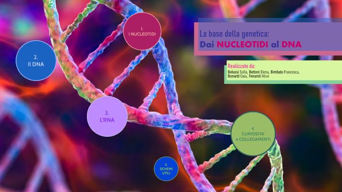 DNA e nucleotidi by Sofia Belussi on Prezi
