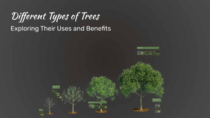 Different Types of Trees by Jared Janicki on Prezi
