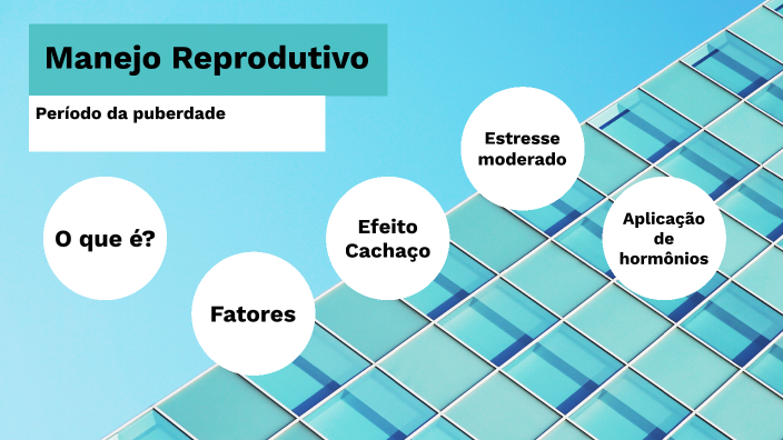 Mapa mental: Puberdade by Luísa Marques on Prezi