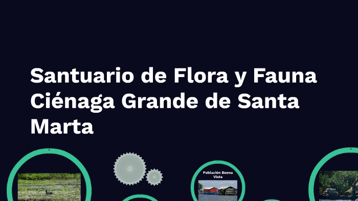 Santuario de Flora y Fauna Ciénaga Grande de Santa Marta by Camilo ...