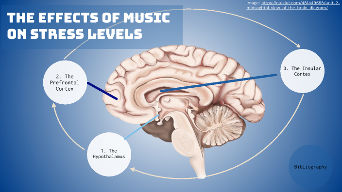 the effects of music on anxiety by Eloise Lefebvre on Prezi