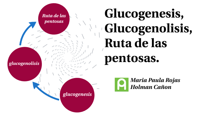 Diagrama De Glucogenólisis