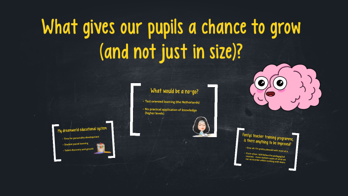 What makes our pupils grow (and not just in size)? by Renske Sterken on ...