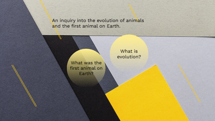The evolution of animal and the first animal on Earth by Isaac HO [6.1 ...