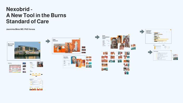 Nexobrid - Revolutionizing Burns Treatment by Svetlana Pantovic on Prezi