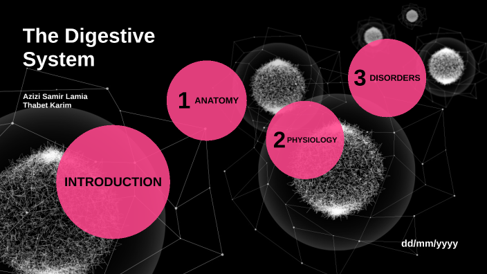 Digestive System by Lamia Azizi Samir on Prezi