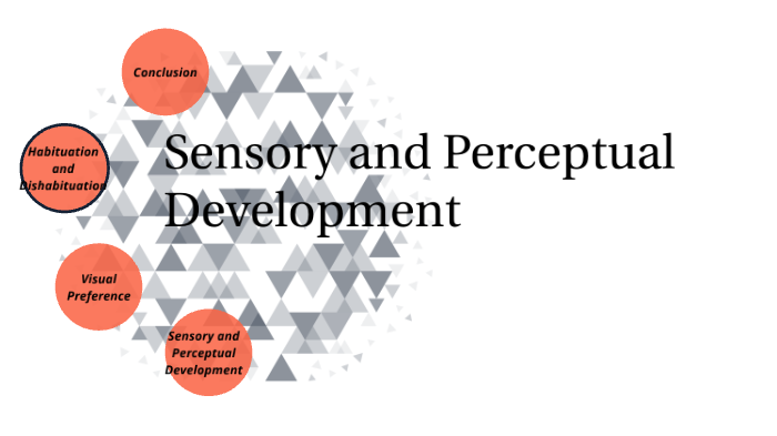 Sensory and Perceptual Development by sheila hekmati on Prezi