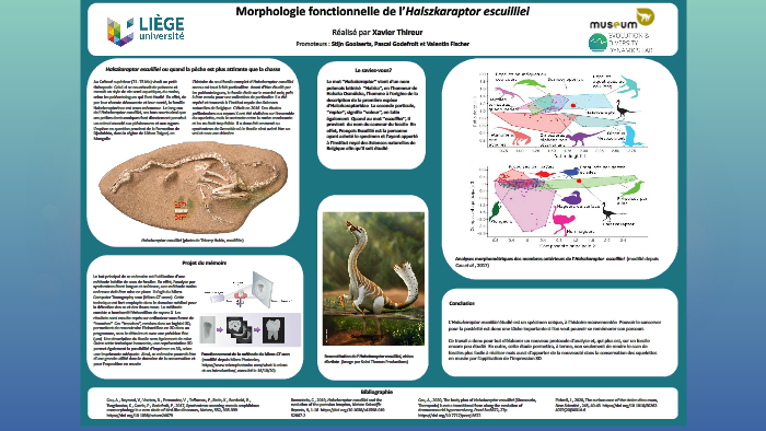 Poster Mémoire by Xavier T on Prezi