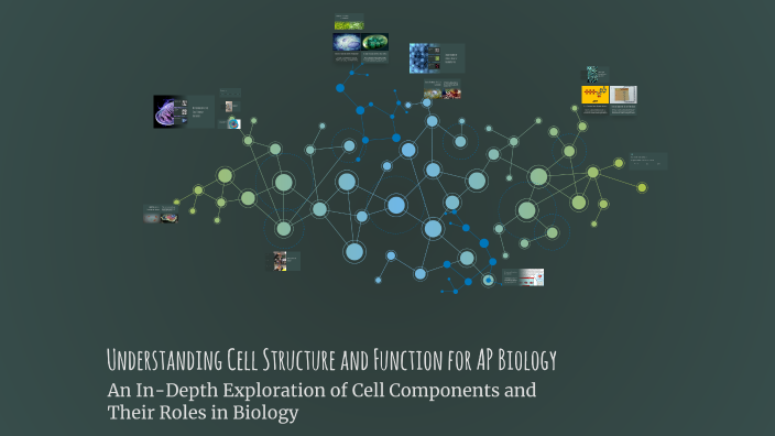Understanding Cell Structure and Function for AP Biology by Isla S424 ...