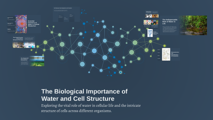 The Biological Importance of Water and Cell Structure by Mohamed Khaled ...