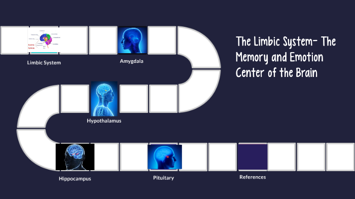 The Limbic System- The Memory and Emotion Center of the Brain by TyQuan ...