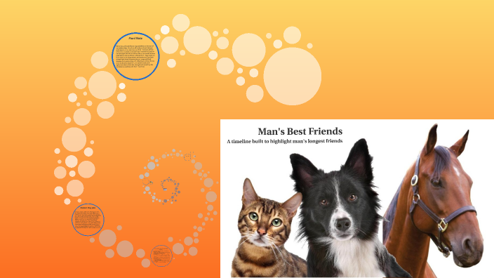 Man's Best Friend A timeline built to highlight man's longest friend by ...