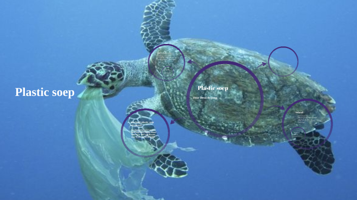 plastic soep in de oceaan by Dessi de Jong on Prezi