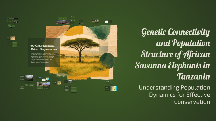 Genetic Connectivity and Population Structure of African Savanna ...