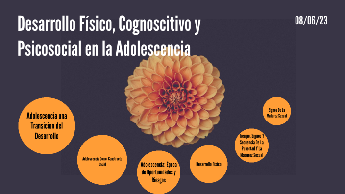 Desarrollo Físico, Cognoscitivo y Psicosocial en la adolescencia by kimberly flores on Prezi