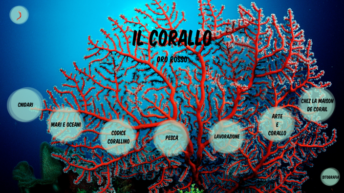 Il corallo by Diego Moscarella on Prezi