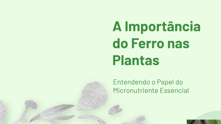 A Importância do Ferro nas Plantas by Natanael on Prezi