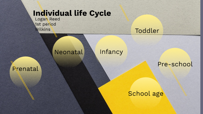 Individual Life Cycle by Logan Reed on Prezi