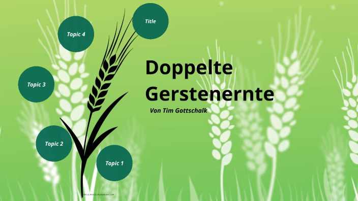 Doppelte Gerstenernte by Tim Gottschalk on Prezi