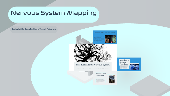 Nervous System Mapping by nadia soto on Prezi