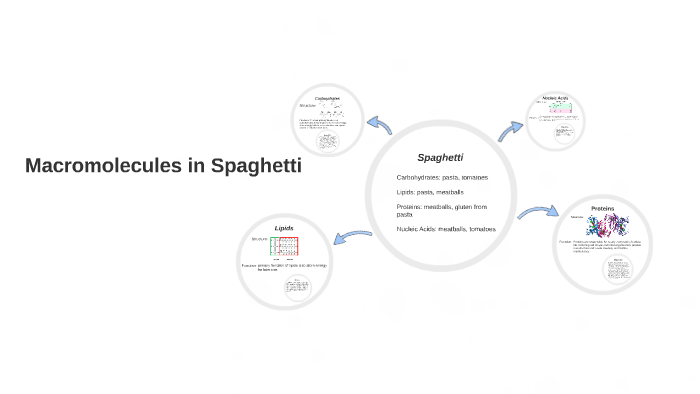 Macromolecules in Spaghetti by Angelina Mai on Prezi
