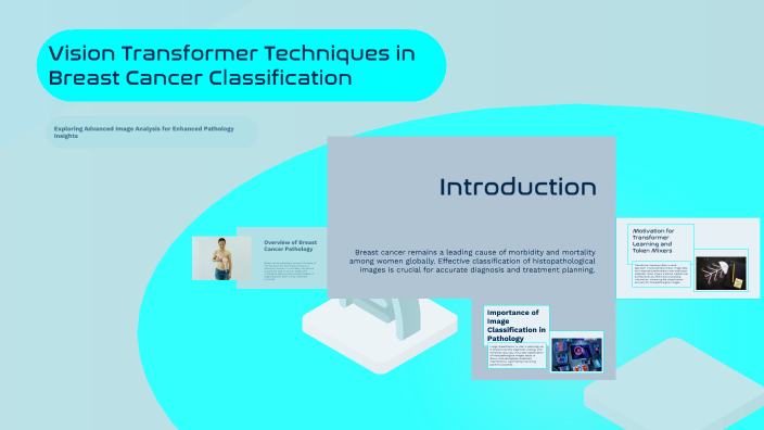 Vision Transformer Techniques in Breast Cancer Classification by maryam ...