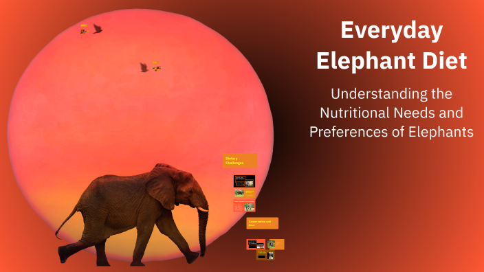 Everyday Elephant Diet by Sofyan Tony on Prezi