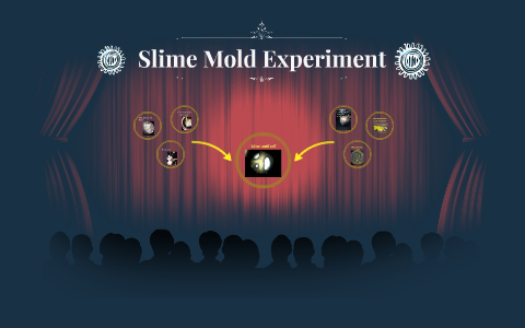 Slime Mold Experiment by zoe sugar on Prezi