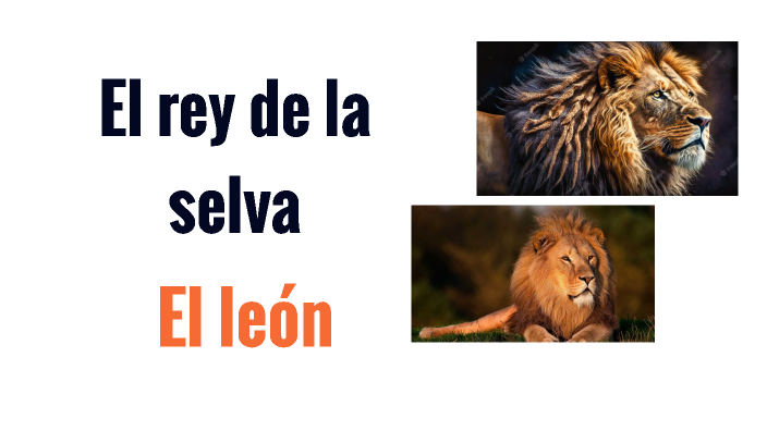 El rey de la selva by Anto Sanchez on Prezi