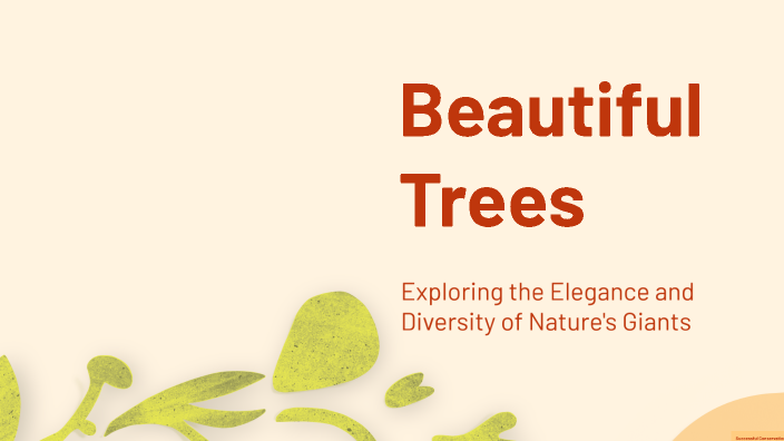 Beautiful Trees by Test User on Prezi