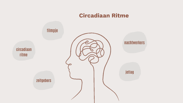 presentatie circadiaan ritme by Janneke Kraakman on Prezi