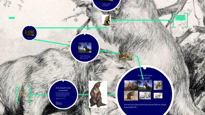Giant ground sloths are an extinct species of sloth that wer by Robert ...