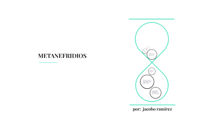 METANEFRIDIOS by jacobo ramirez on Prezi