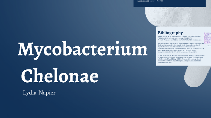 Mycobacterium Chelonae by lydia napier on Prezi
