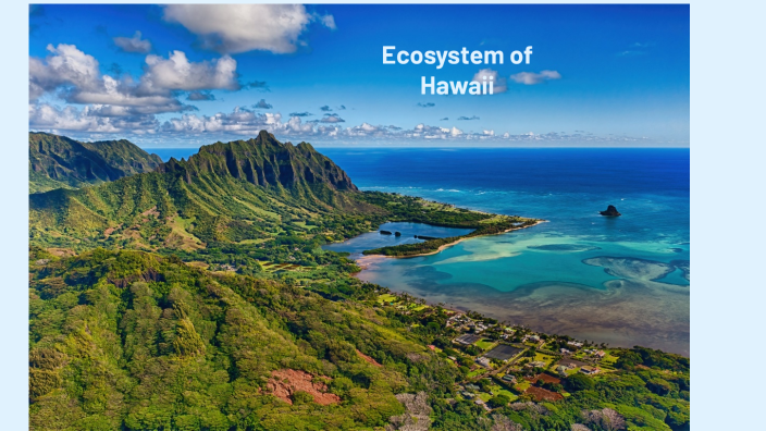 Ecosystem of Hawaii by Nicole Hilborn on Prezi