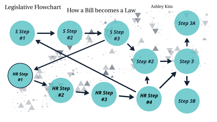 Legislative Flow Chart by Ashley Kim on Prezi