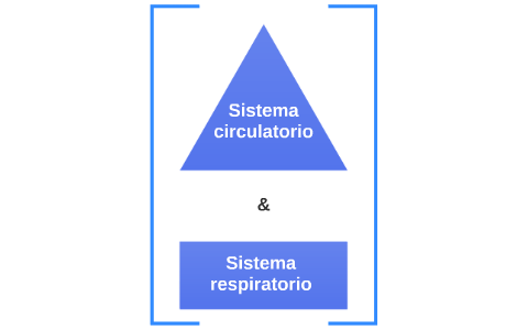 Sistema circulatorio y respiratorio by Jean Pulido Segura on Prezi