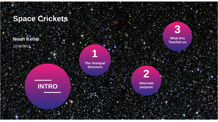 Space Crickets by Noah Kellar on Prezi
