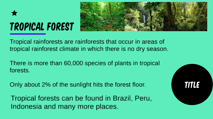 Biomes by jaz murphy on Prezi