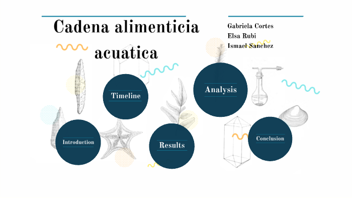 Cadena Alimenticia Acuatica by gaby cortes on Prezi